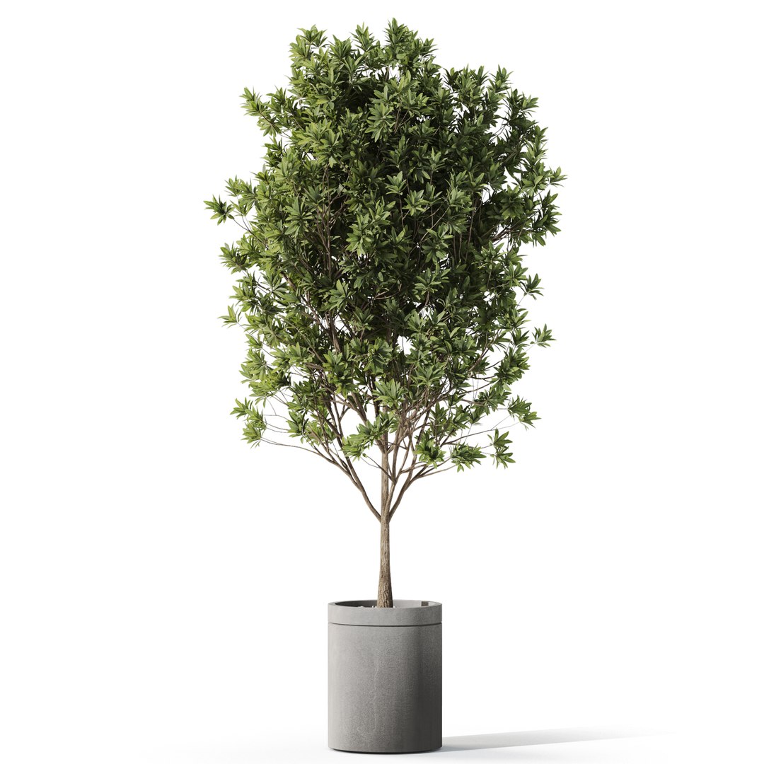 3D Plants Collection 1096 - TurboSquid 2248918