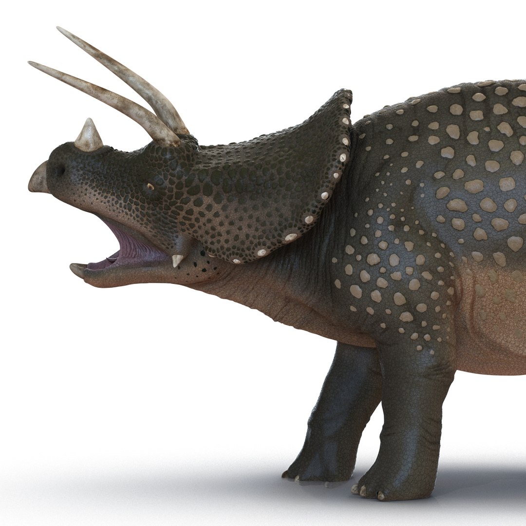3d model triceratops pose 2