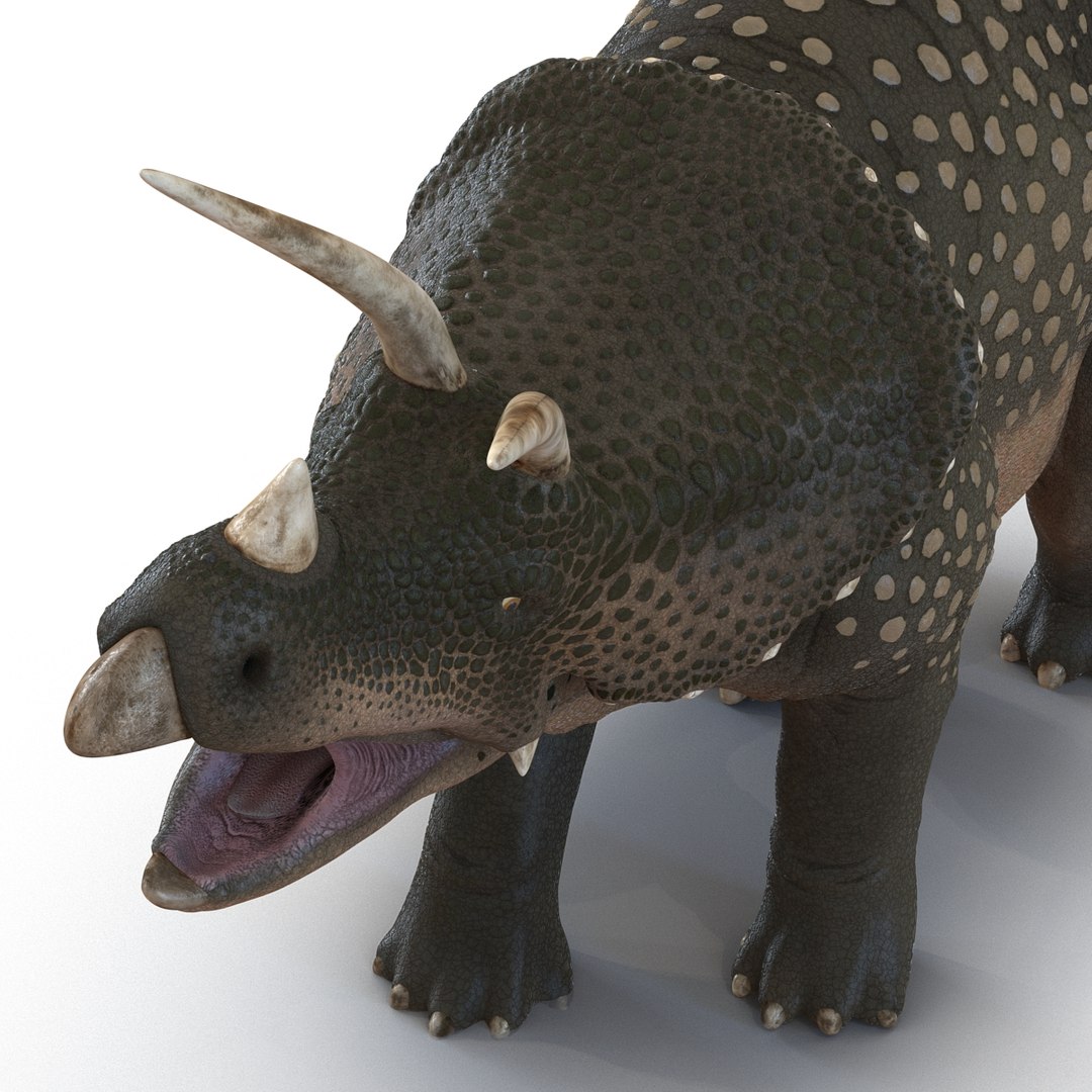 3d model triceratops pose 2