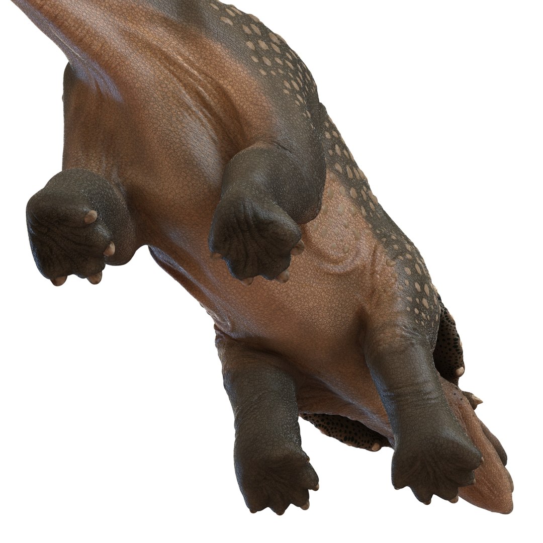 3d model triceratops pose 2