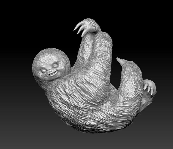 Sloth 3D Models for Download | TurboSquid