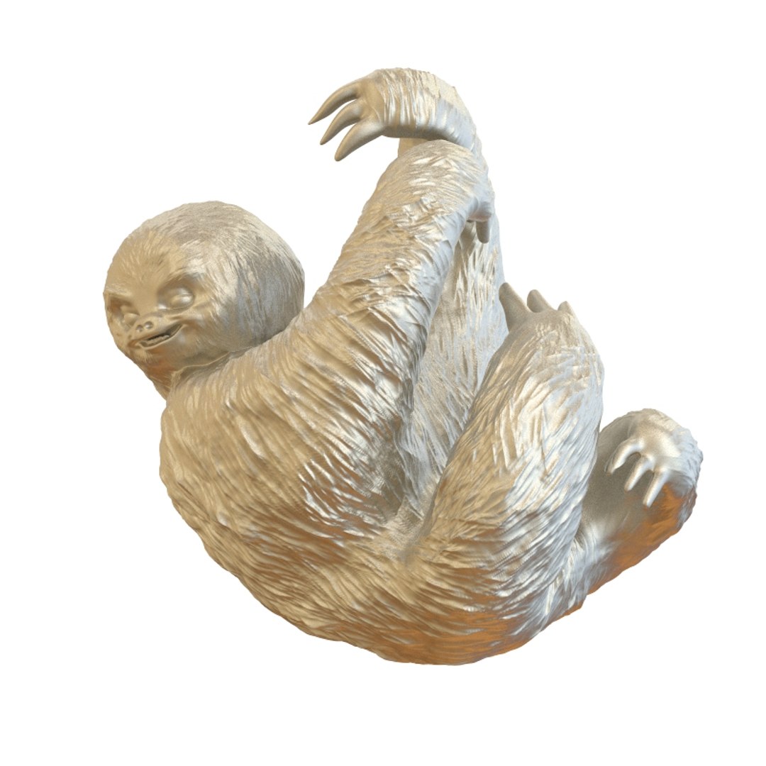 3d Sloth Animal Cute