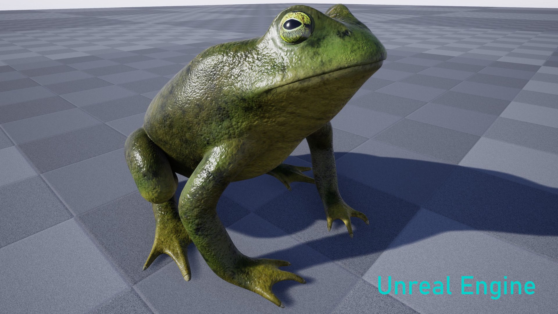 Color 3D Model - TurboSquid 1709662