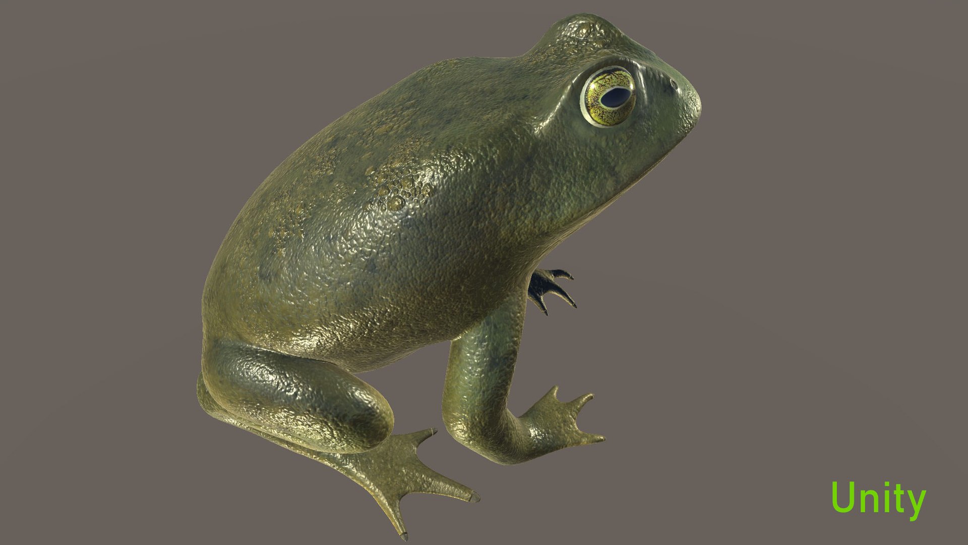 Color 3D Model - TurboSquid 1709662