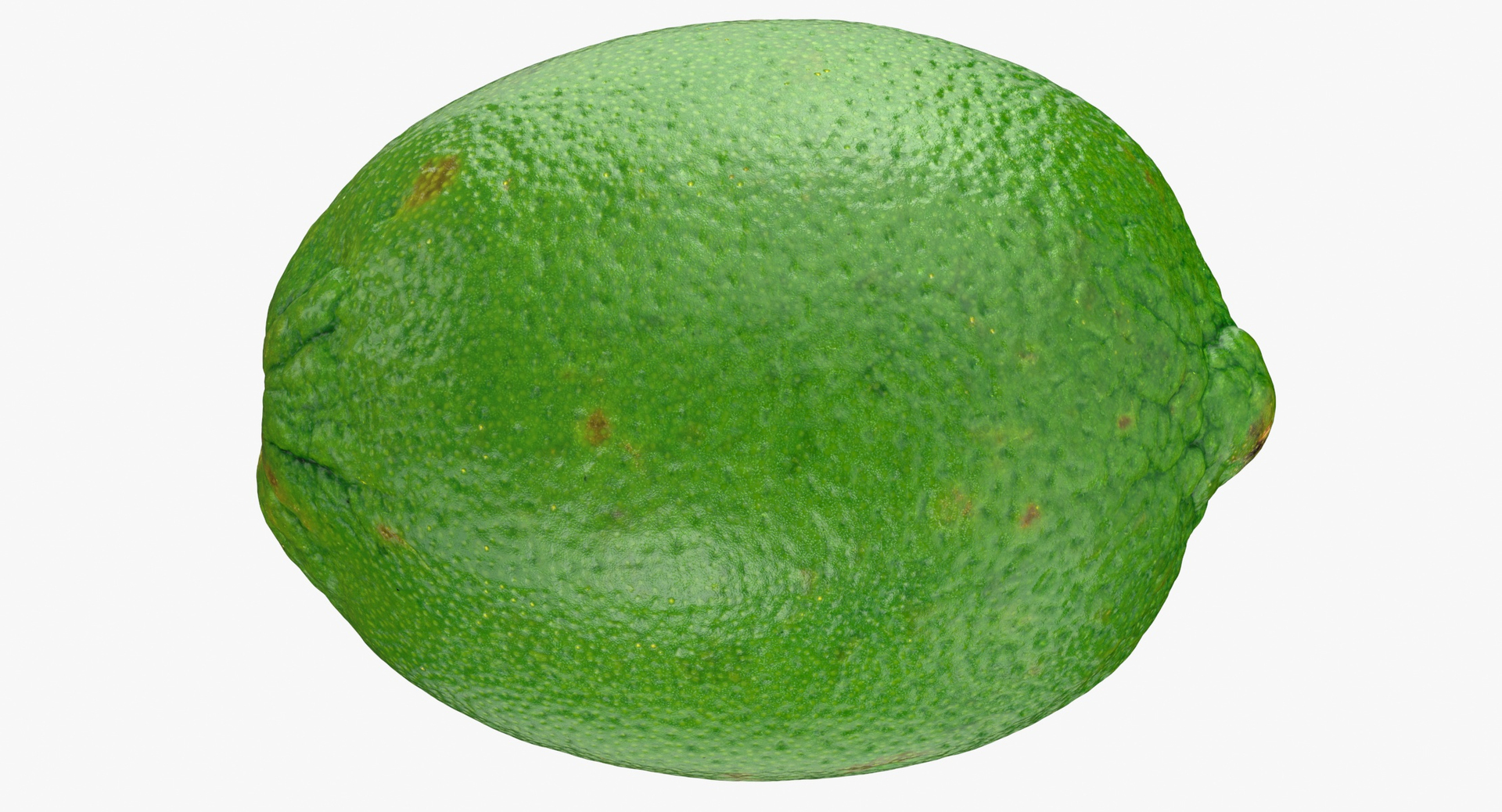 Lime 01 Model - TurboSquid 1500385