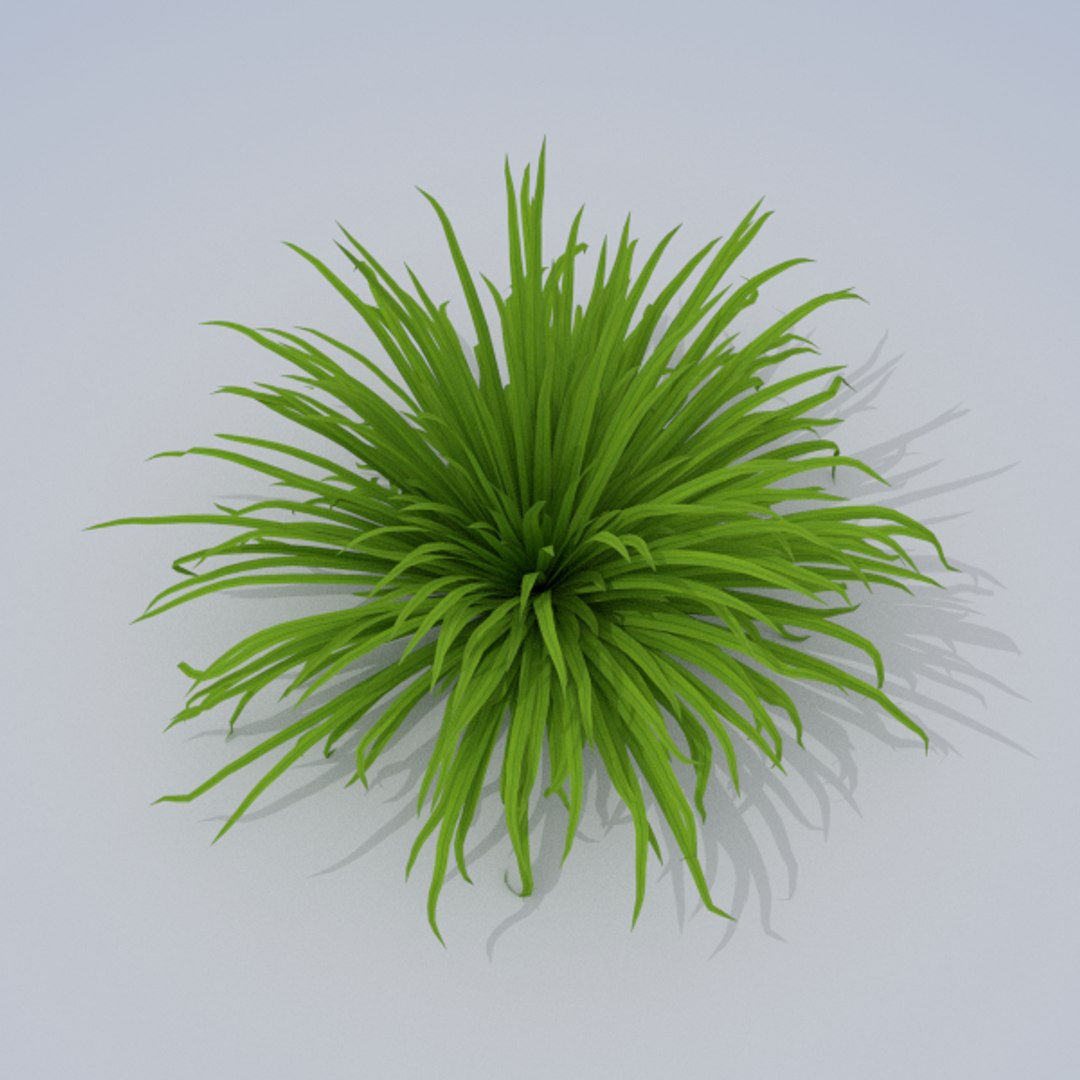3d Model Grass