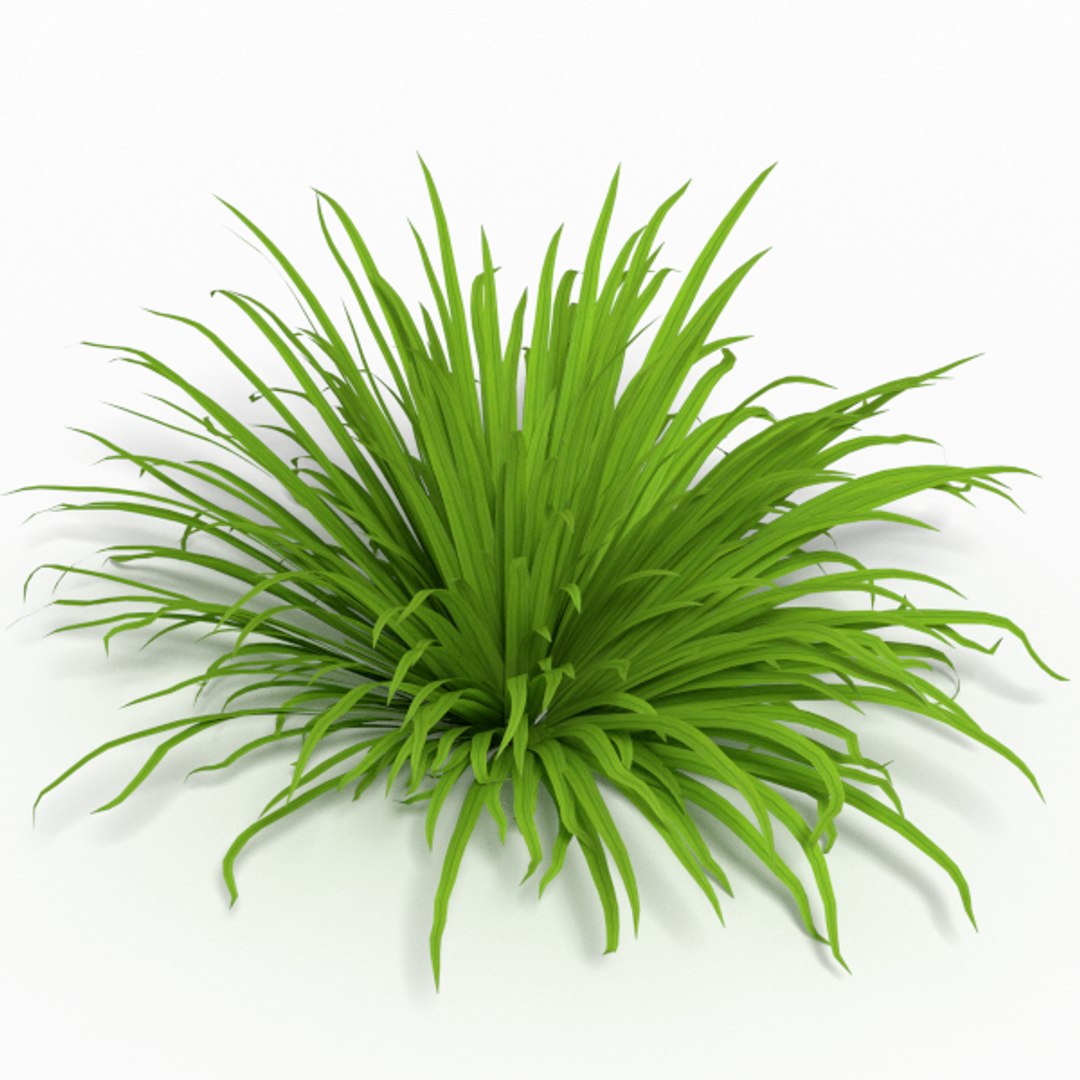 3d model grass