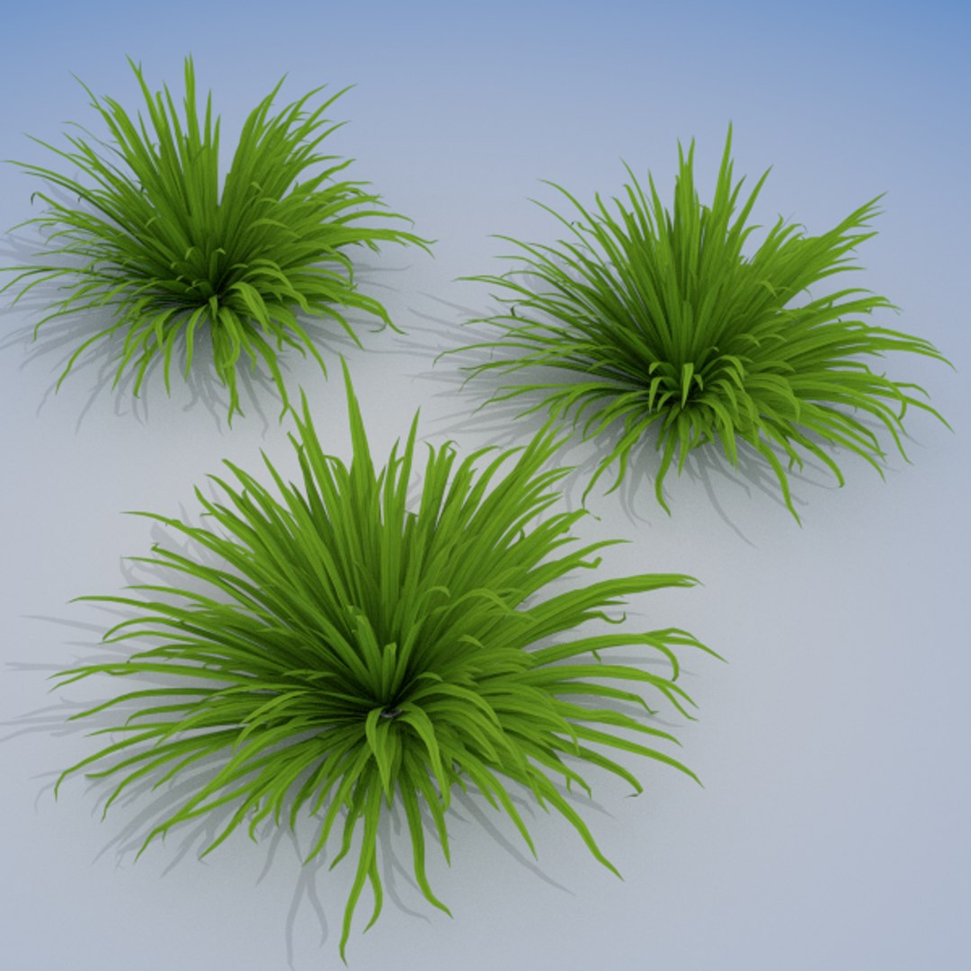3d Model Grass