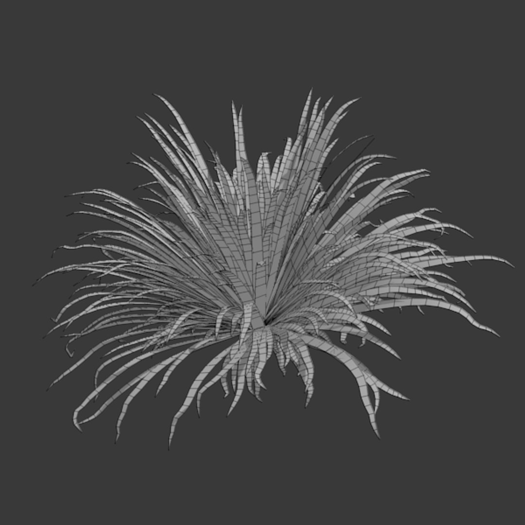 3d Model Grass
