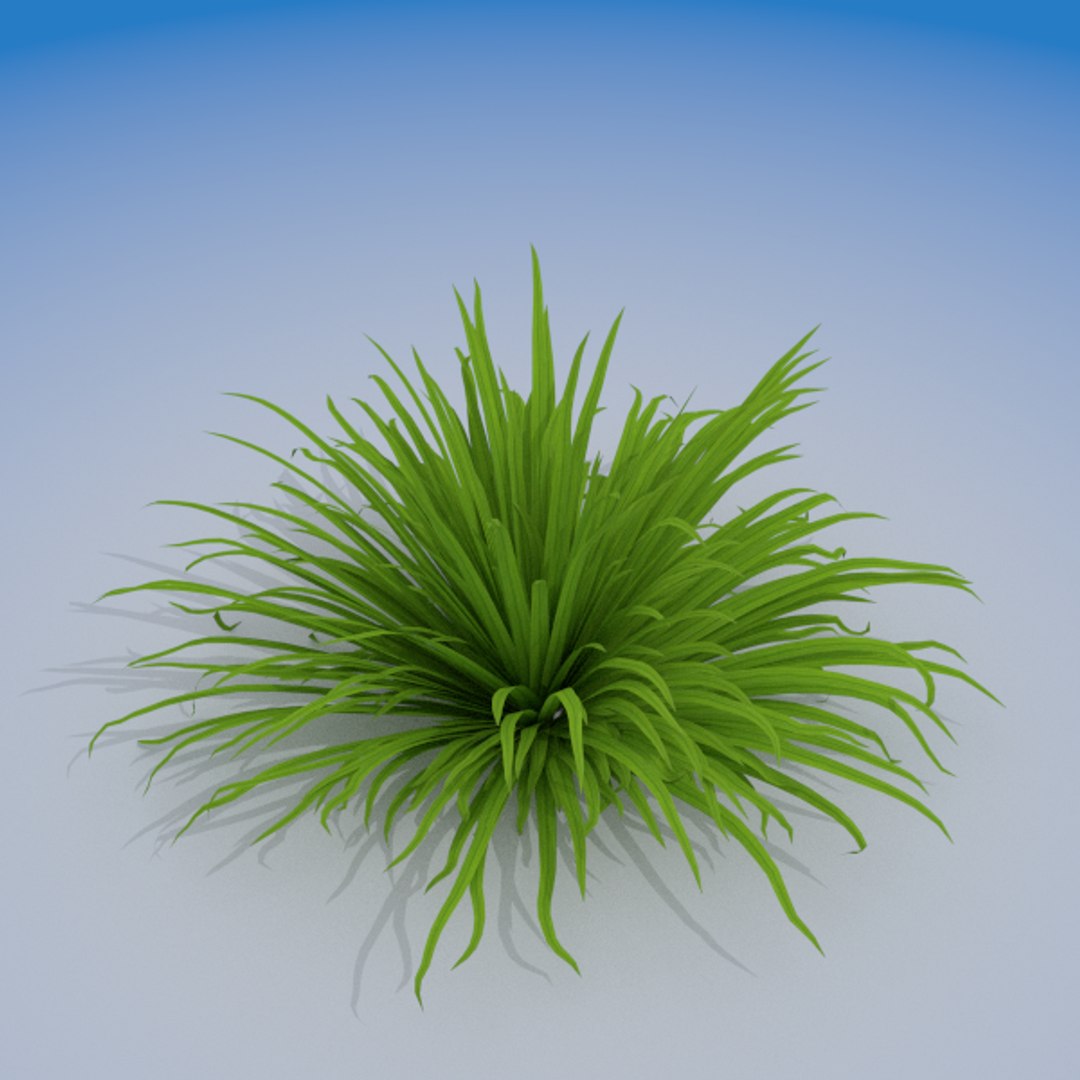 3d Model Grass