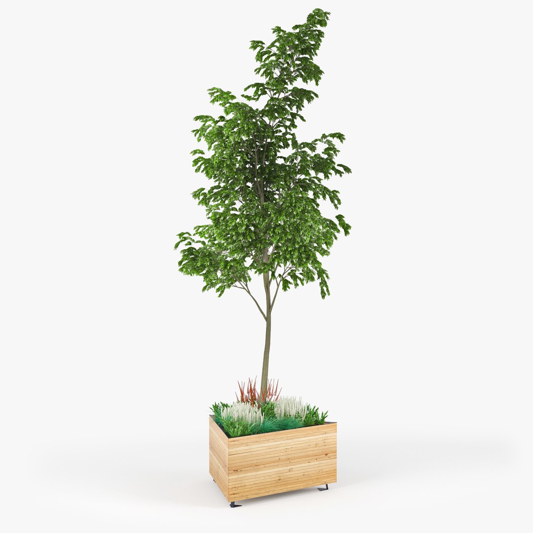 3D Grass Tree Plant Model - TurboSquid 1372287