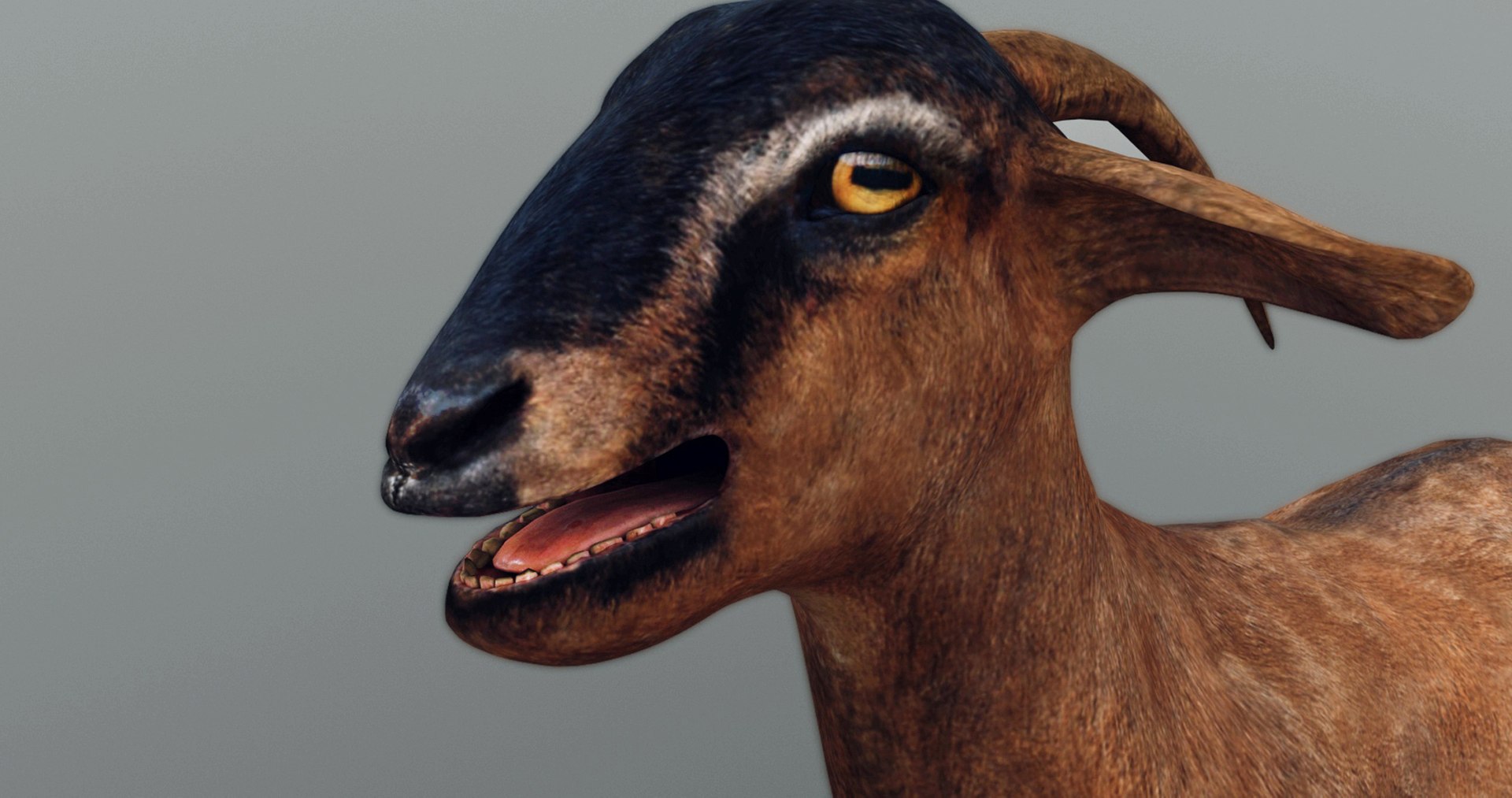 3D Goat - TurboSquid 1865078