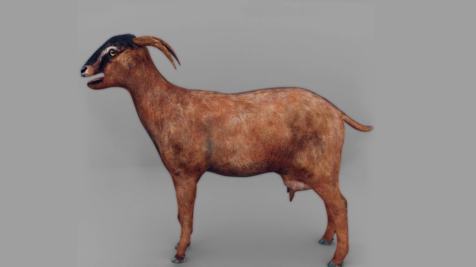 3D Goat - TurboSquid 1865078
