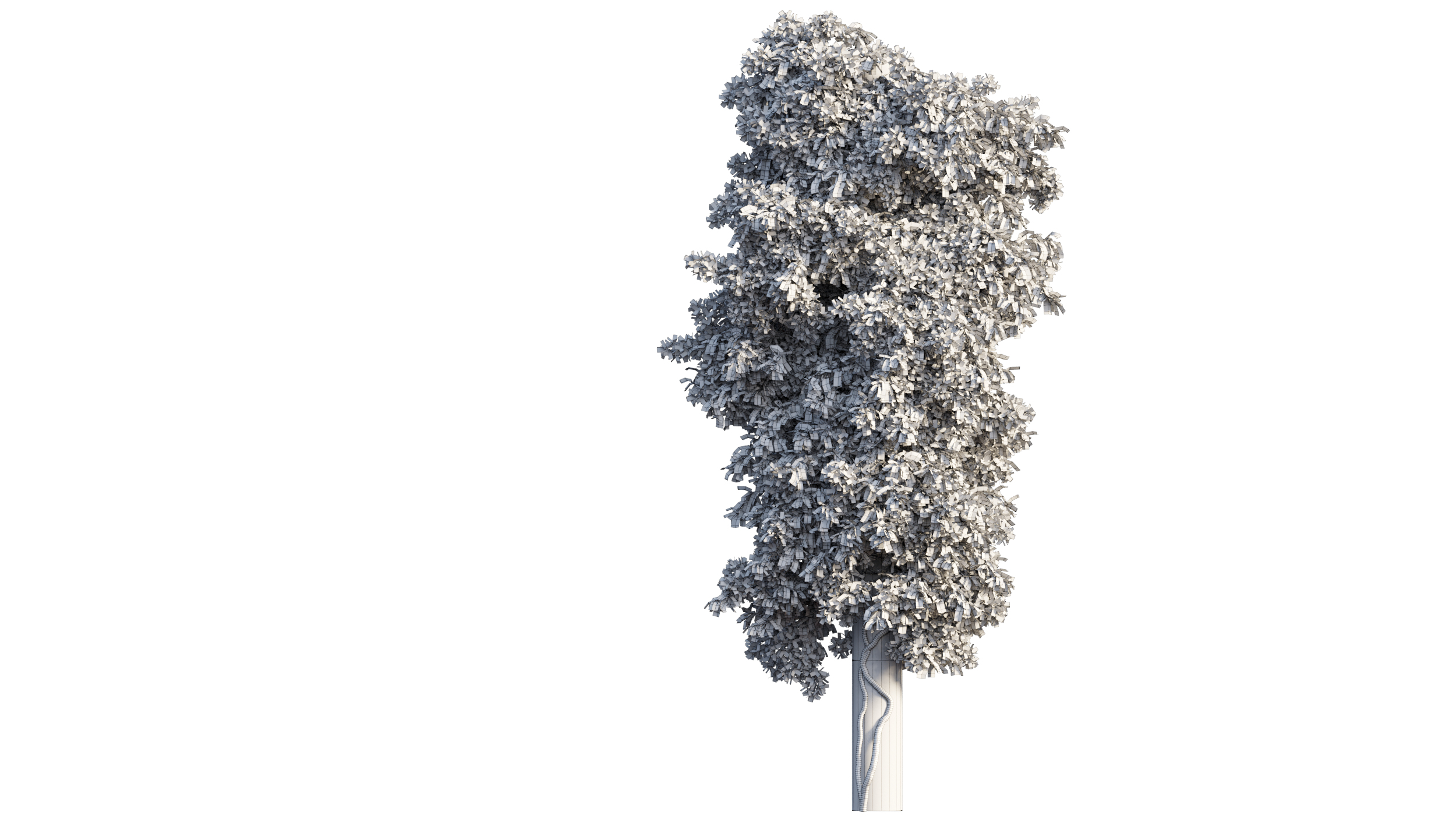 modelo 3d Conjunto de plantas de buganvillas 21 - TurboSquid 1835140