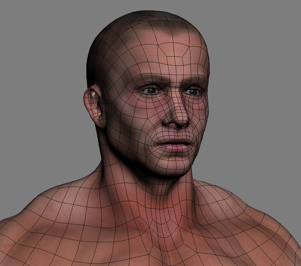 Max Realistic Male Bodybuilder Human Man