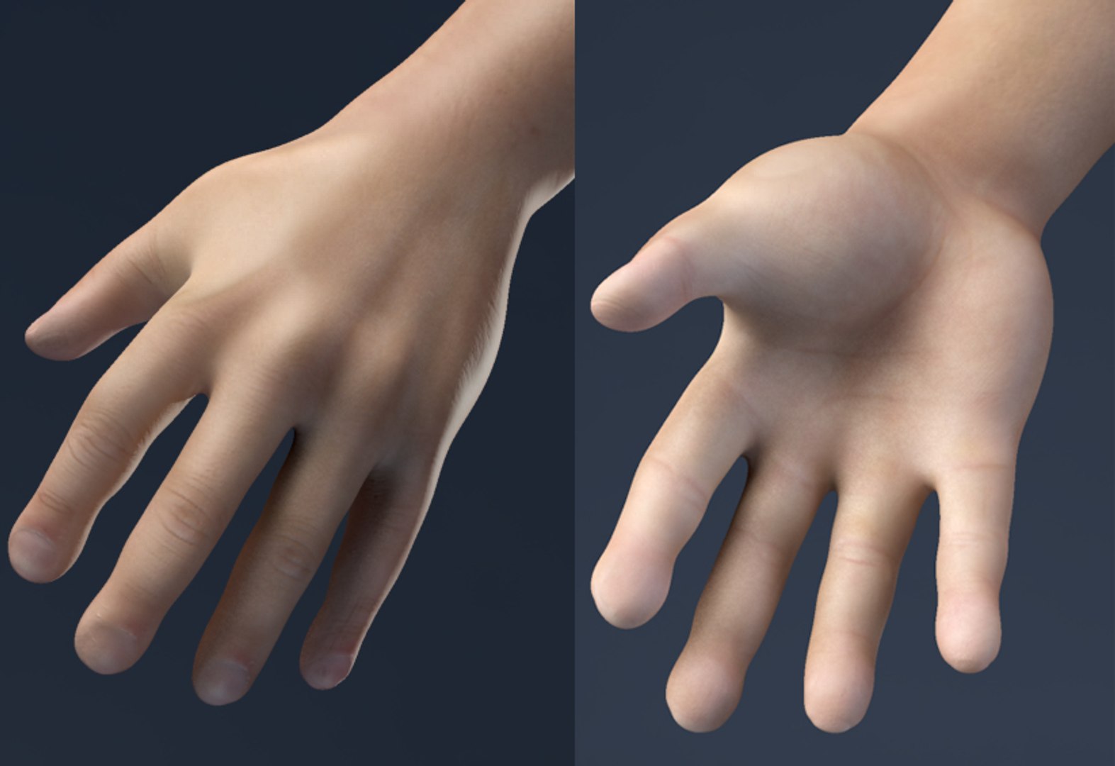 Max Realistic Male Bodybuilder Human Man