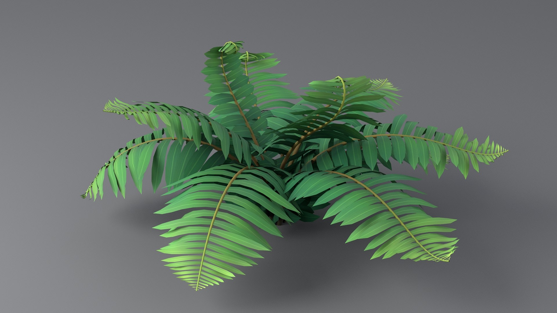 3D Cartoon Fern 02 - TurboSquid 1938329