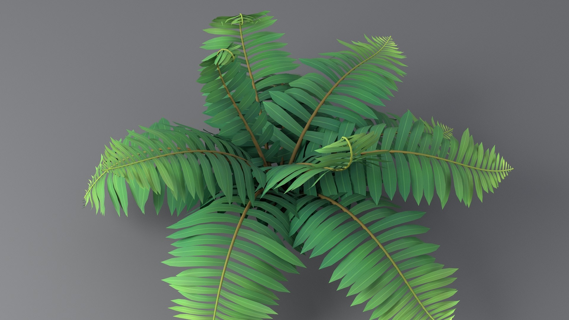 3D Cartoon Fern 02 - TurboSquid 1938329