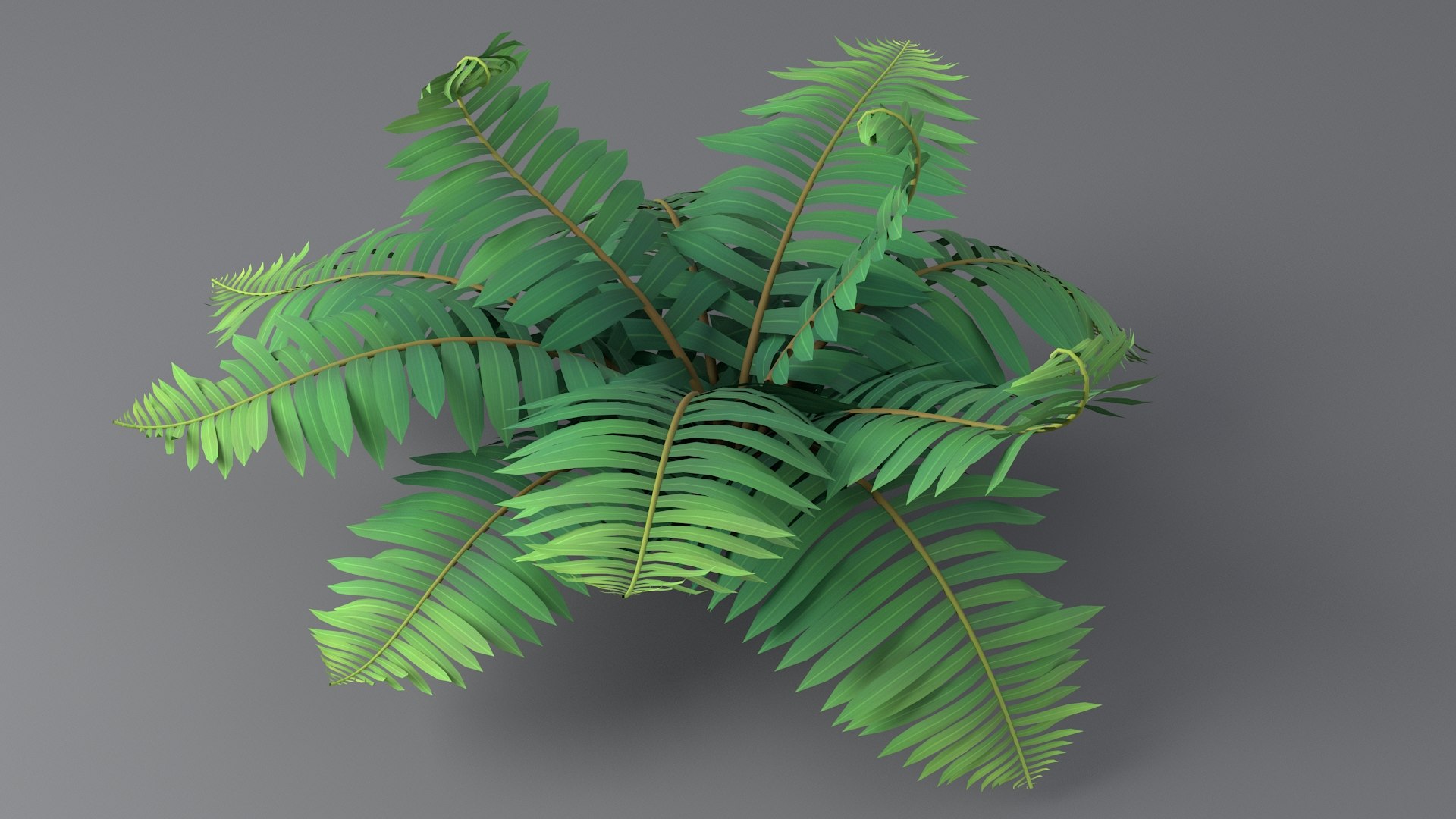 3D Cartoon Fern 02 - TurboSquid 1938329