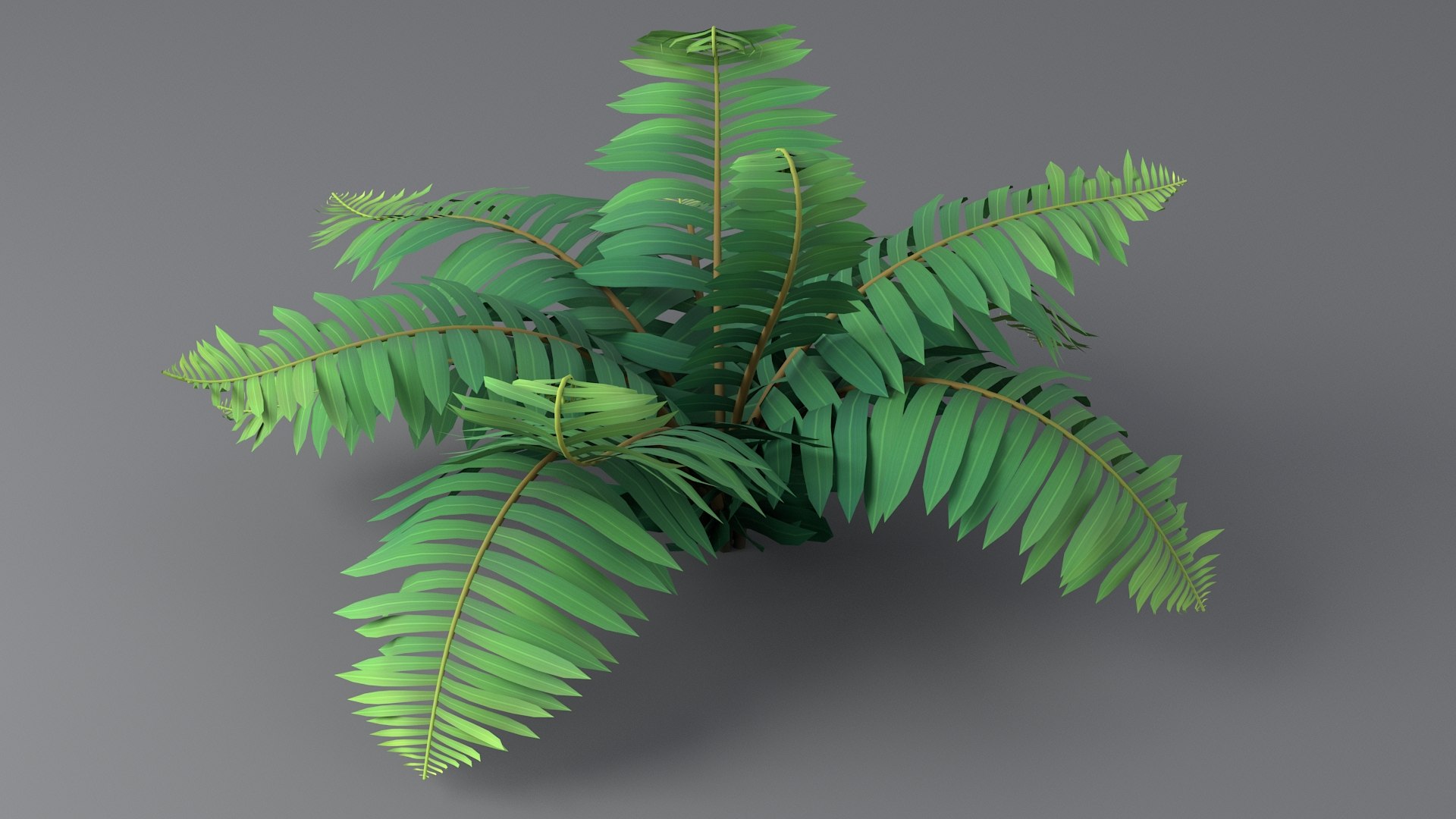 3D Cartoon Fern 02 - TurboSquid 1938329