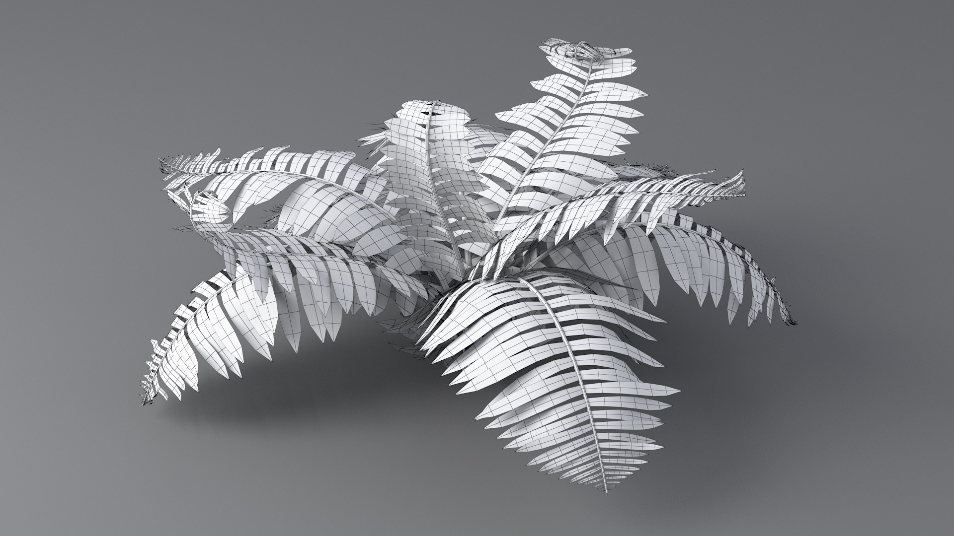 3D Cartoon Fern 02 - TurboSquid 1938329