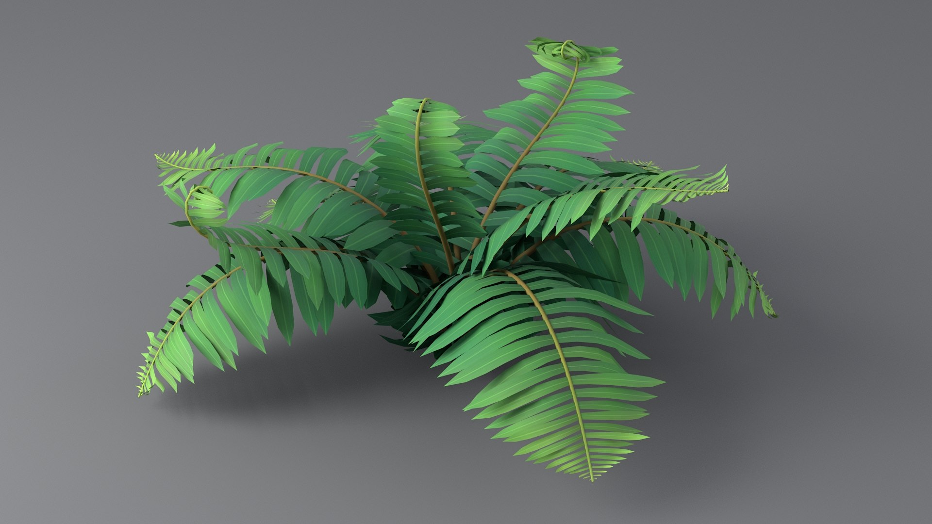 3D Cartoon Fern 02 - TurboSquid 1938329
