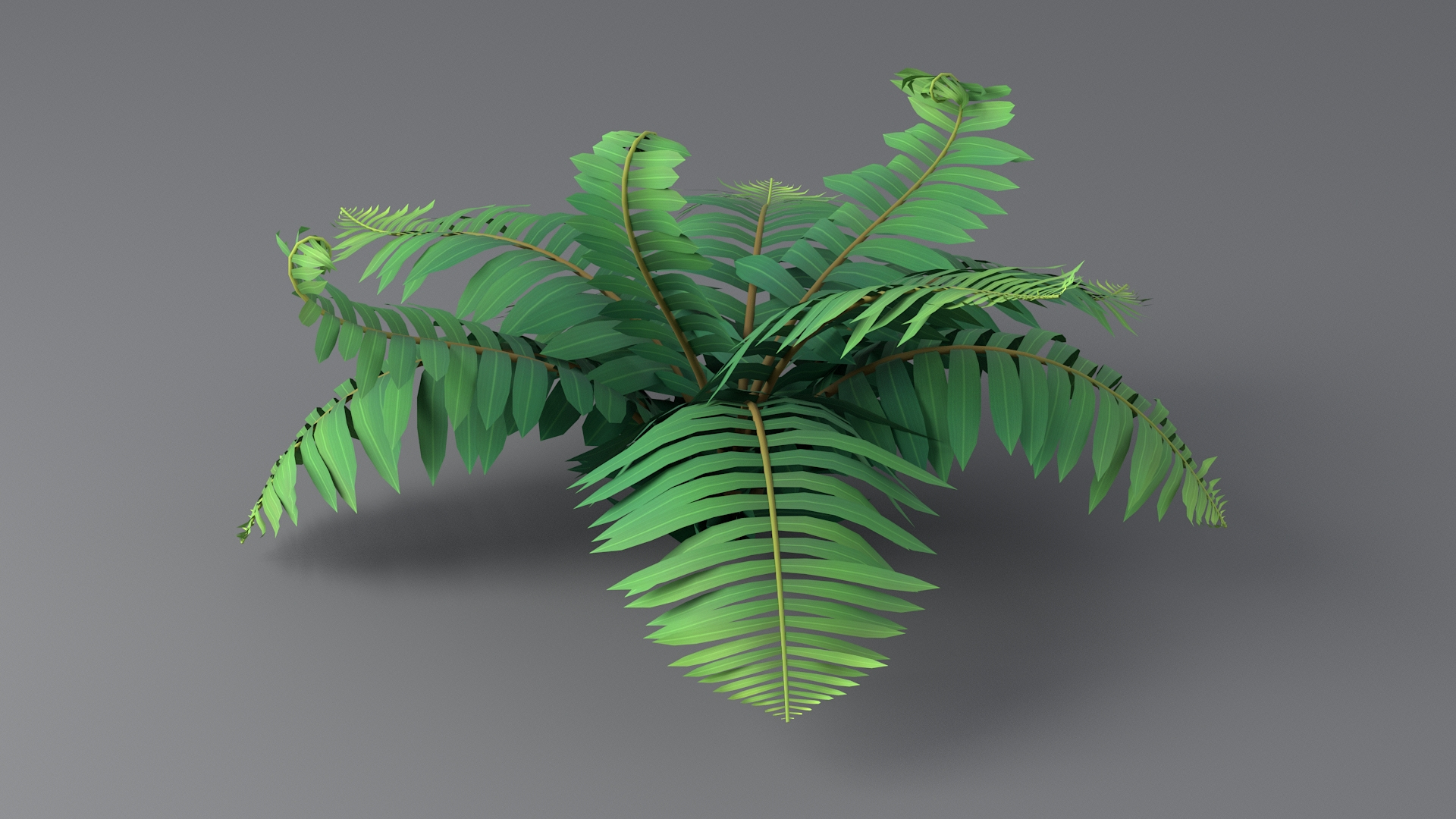 3D Cartoon Fern 02 - TurboSquid 1938329