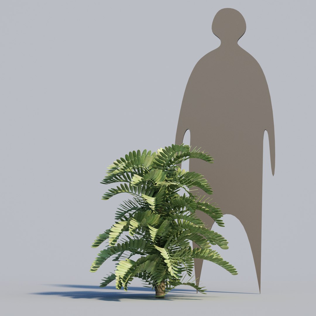 3D Model Palm Cardboard - TurboSquid 1504383