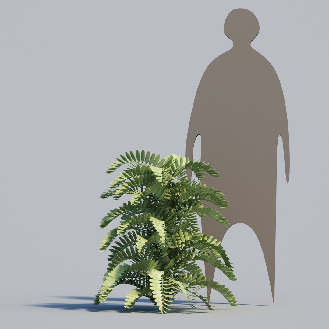 3D Model Palm Cardboard - TurboSquid 1504383