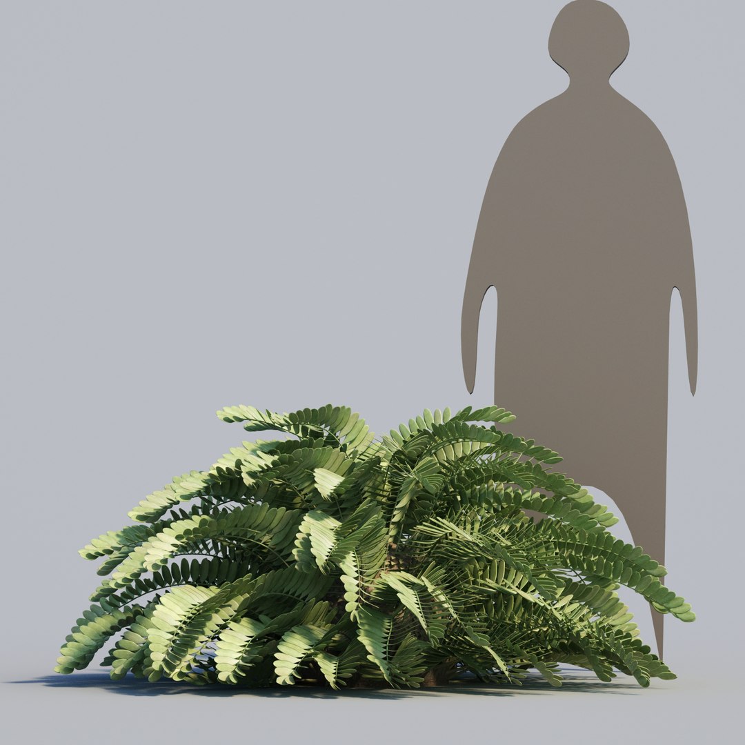 3D Model Palm Cardboard - TurboSquid 1504383