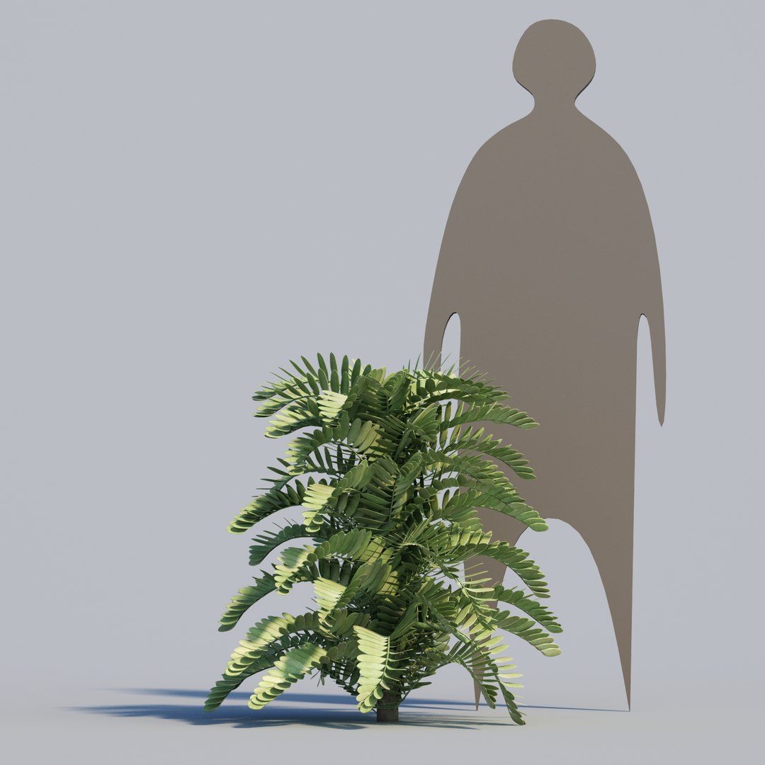 3D Model Palm Cardboard - TurboSquid 1504383