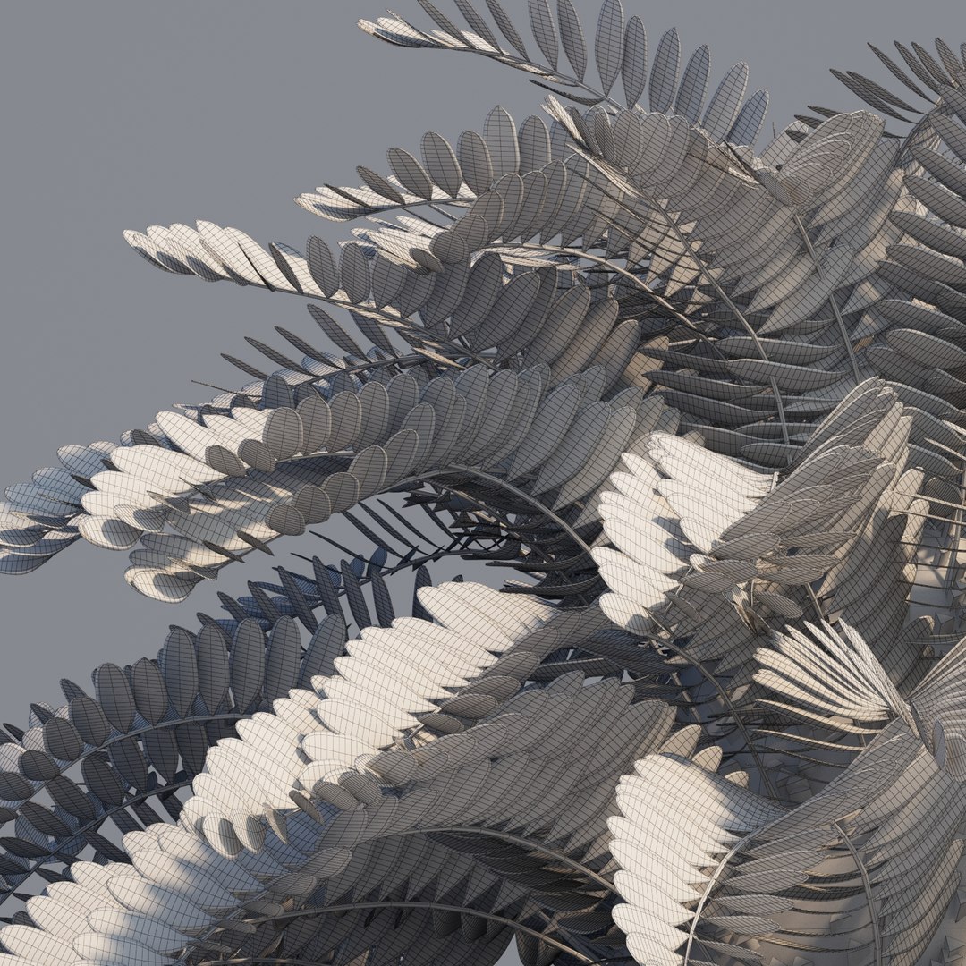 3D Model Palm Cardboard - TurboSquid 1504383
