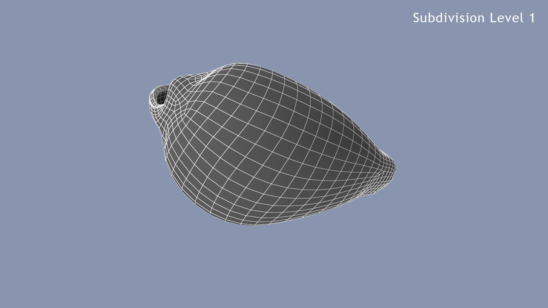 Sea Shell 03 02 3D Model - TurboSquid 1736876