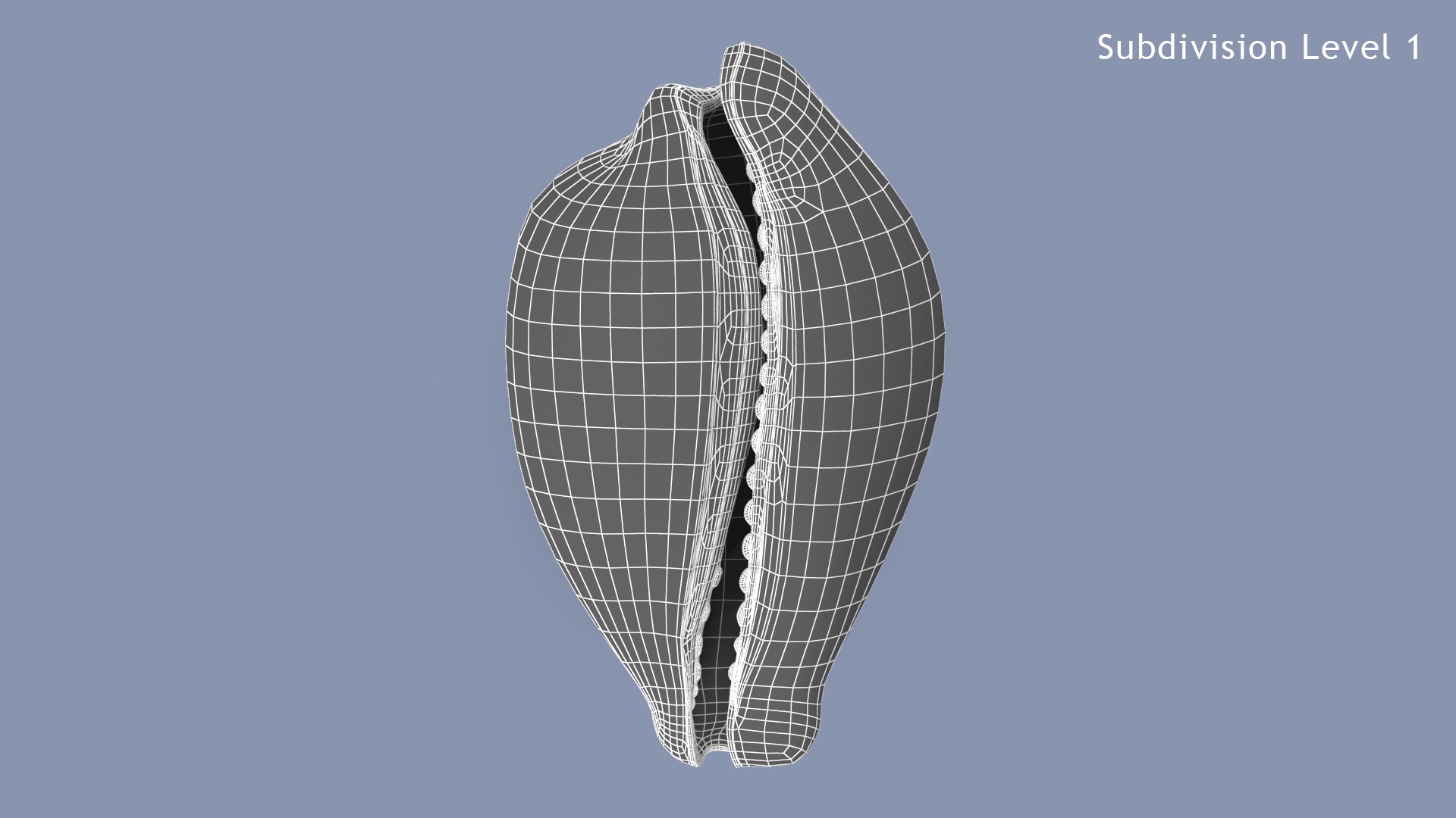 Sea Shell 03 02 3D Model - TurboSquid 1736876