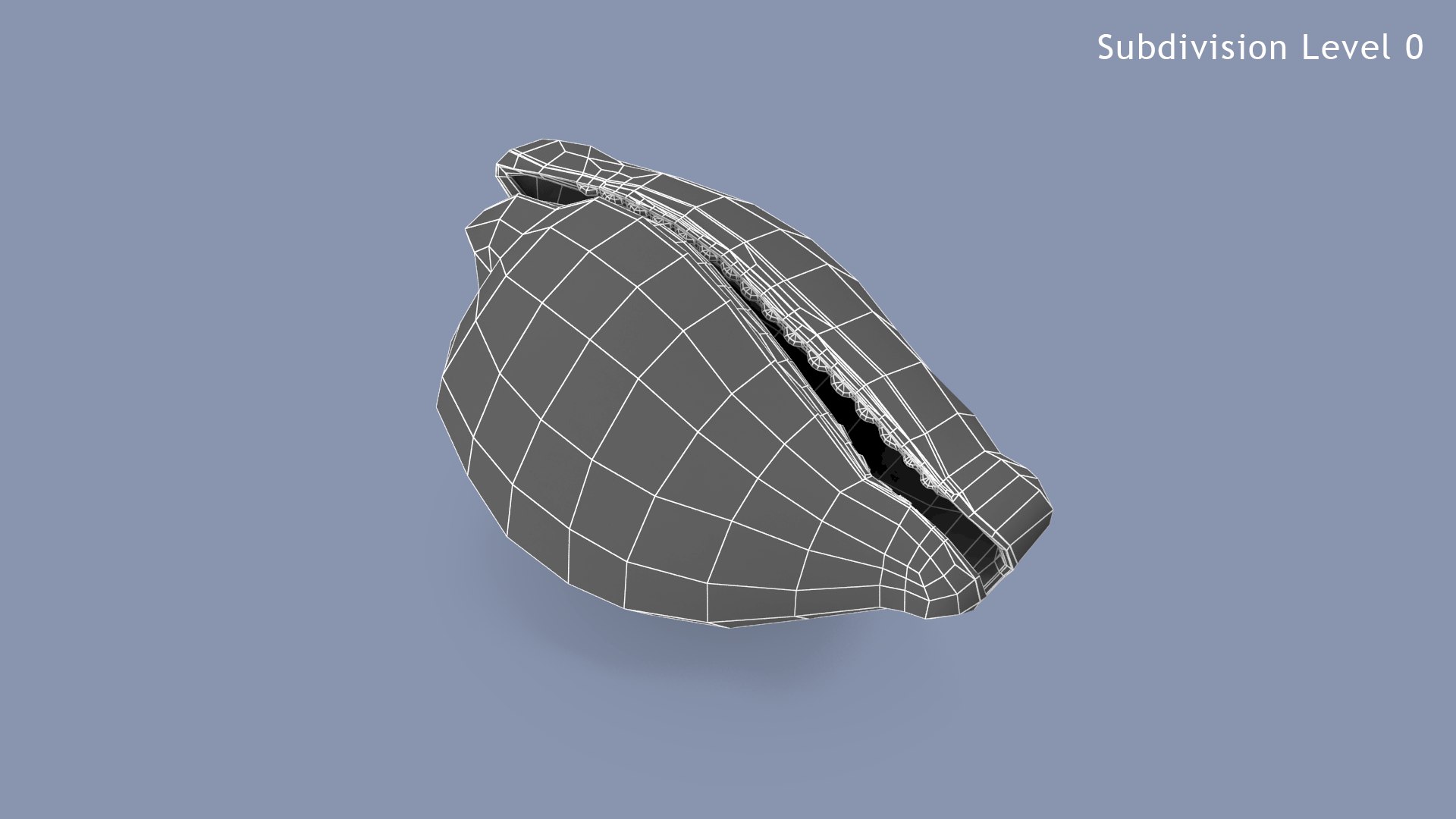Sea Shell 03 02 3D Model - TurboSquid 1736876