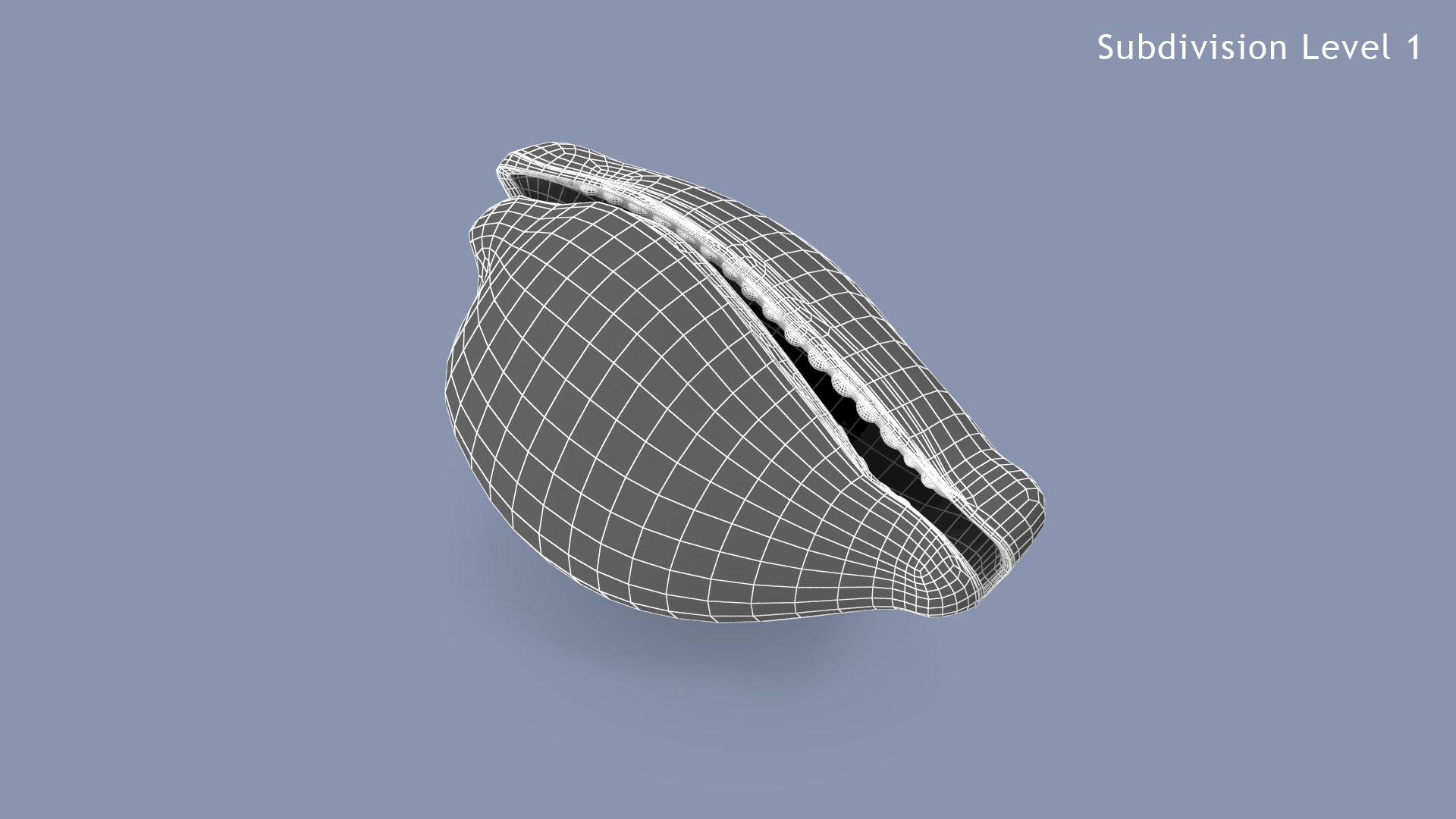 Sea Shell 03 02 3D Model - TurboSquid 1736876
