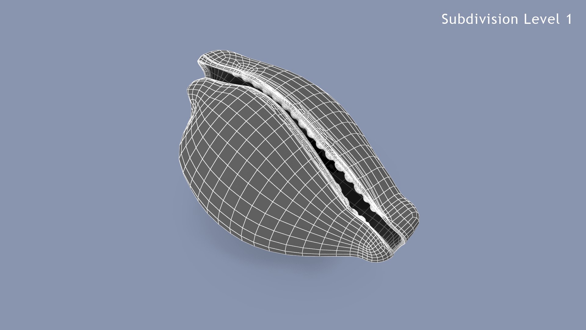 Sea Shell 03 02 3D Model - TurboSquid 1736876