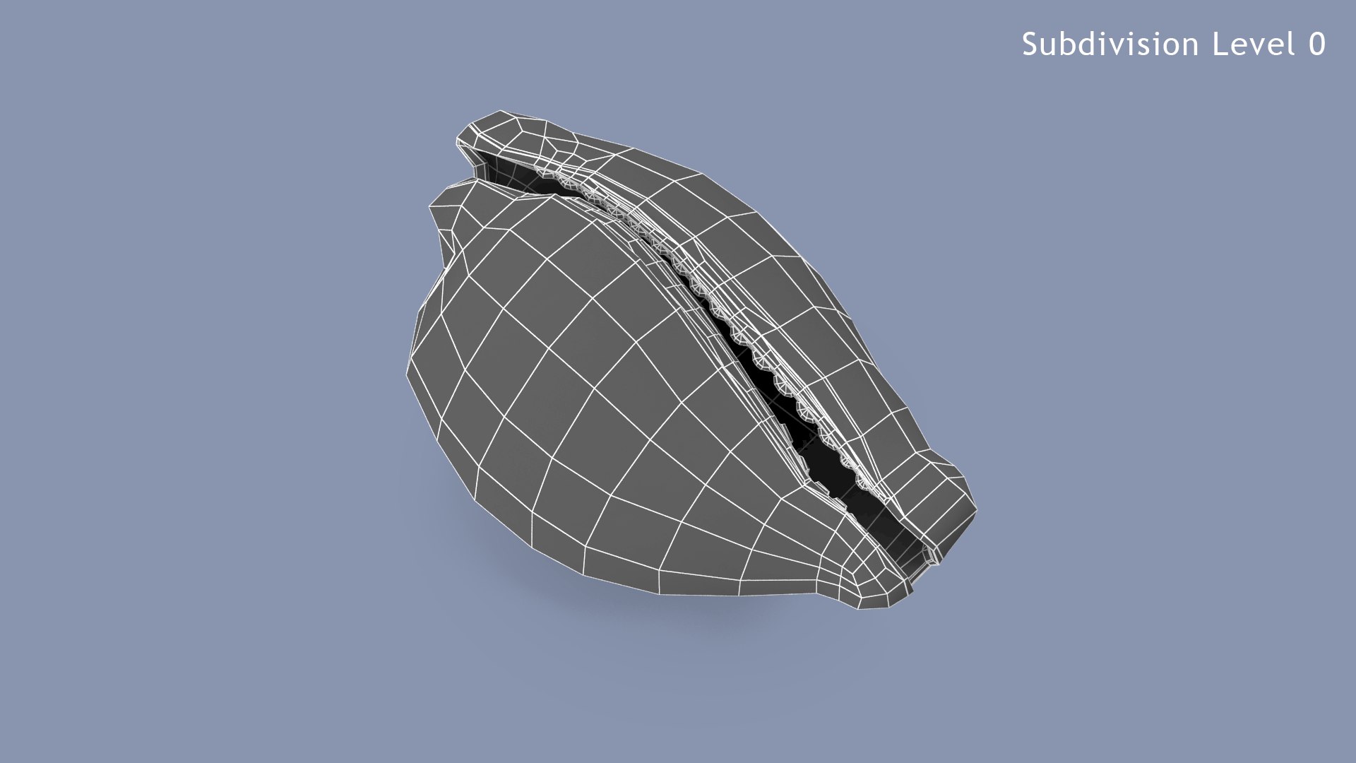 Sea Shell 03 02 3D Model - TurboSquid 1736876