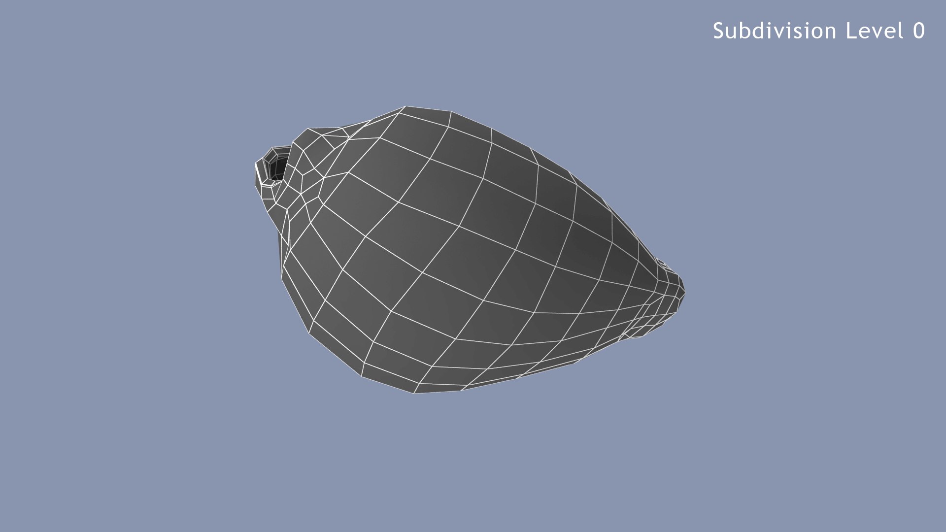 Sea Shell 03 02 3D Model - TurboSquid 1736876