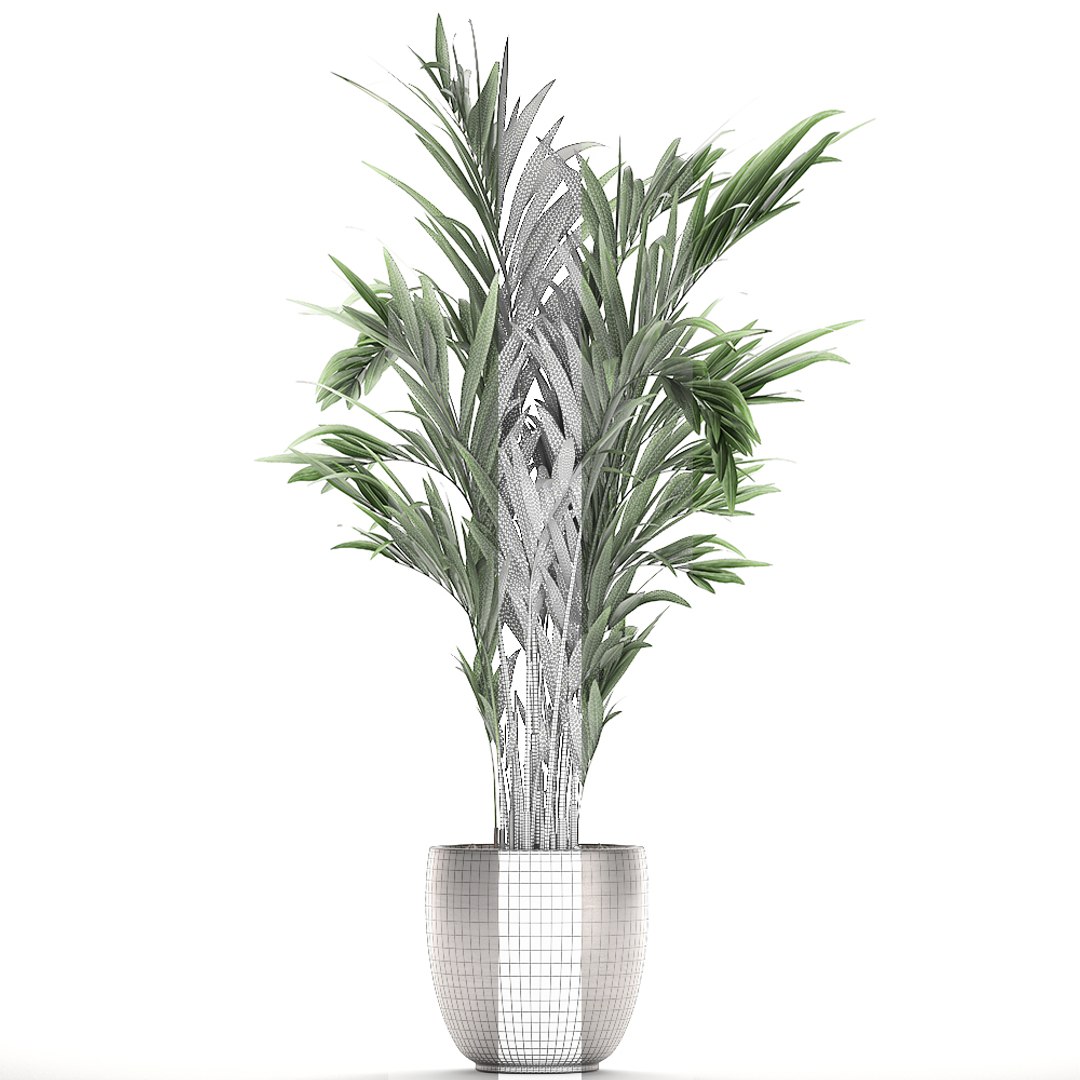 Decorative Palm 3D Model - TurboSquid 1618539