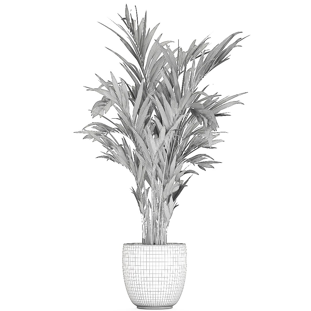 Decorative Palm 3D Model - TurboSquid 1618539