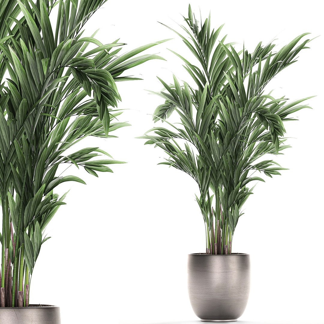 Decorative Palm 3D Model - TurboSquid 1618539
