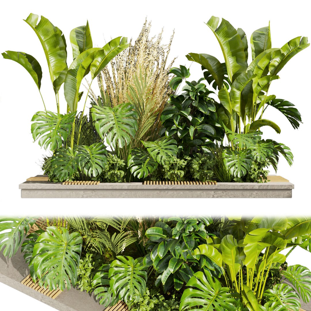 3D Collection Plant Vol 428 - Outdoor - Garden - Leaf - 3dsmax - Cinema ...