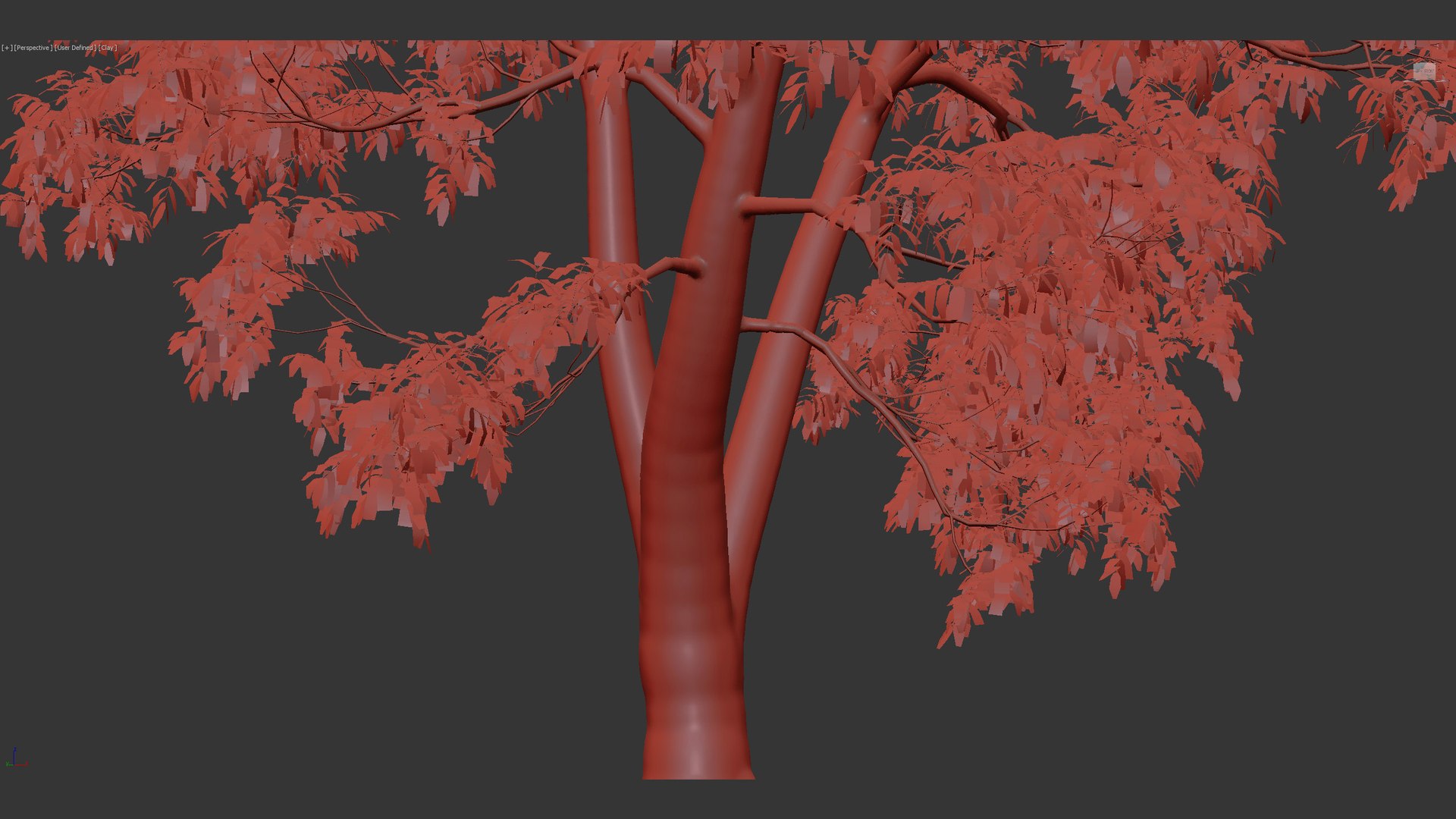 3D Fraxinus Excelsior European Ash 02 Model - TurboSquid 2081149