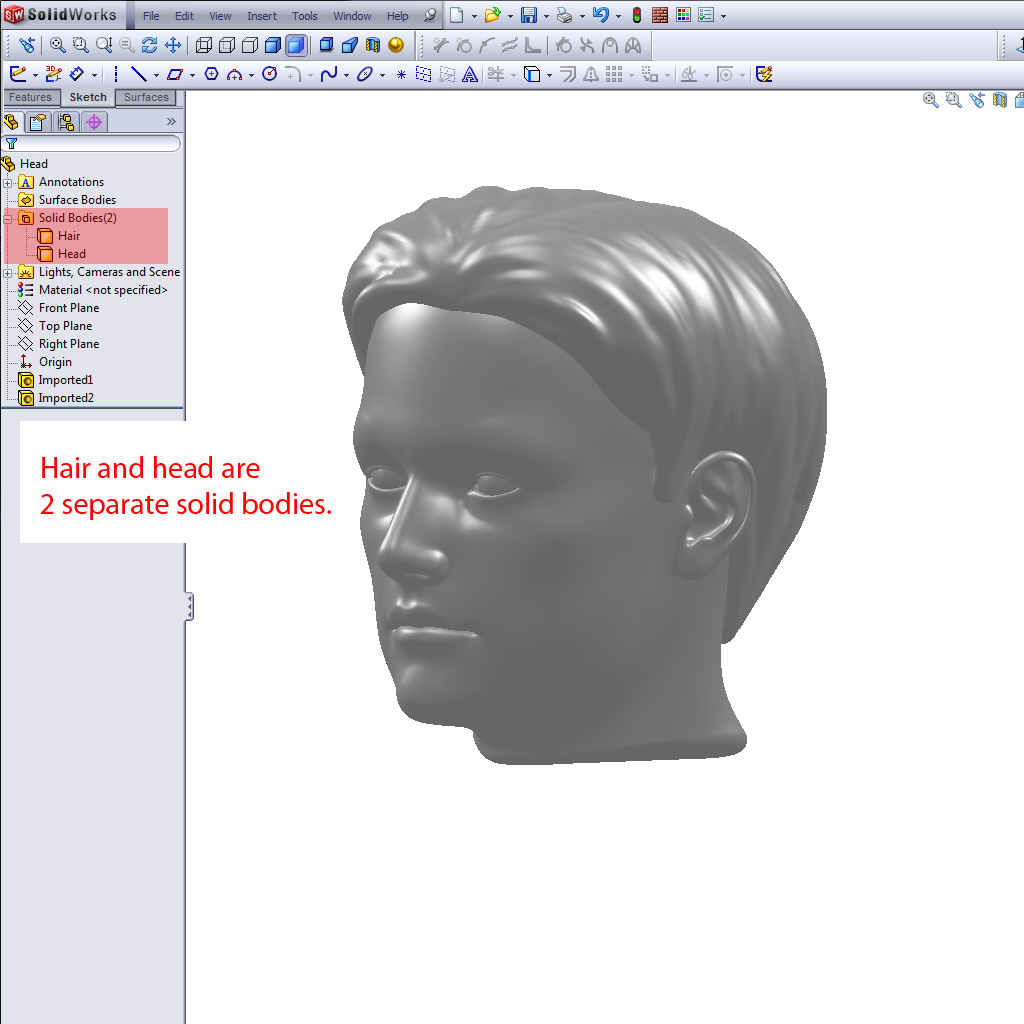 male human head solidworks 3dm