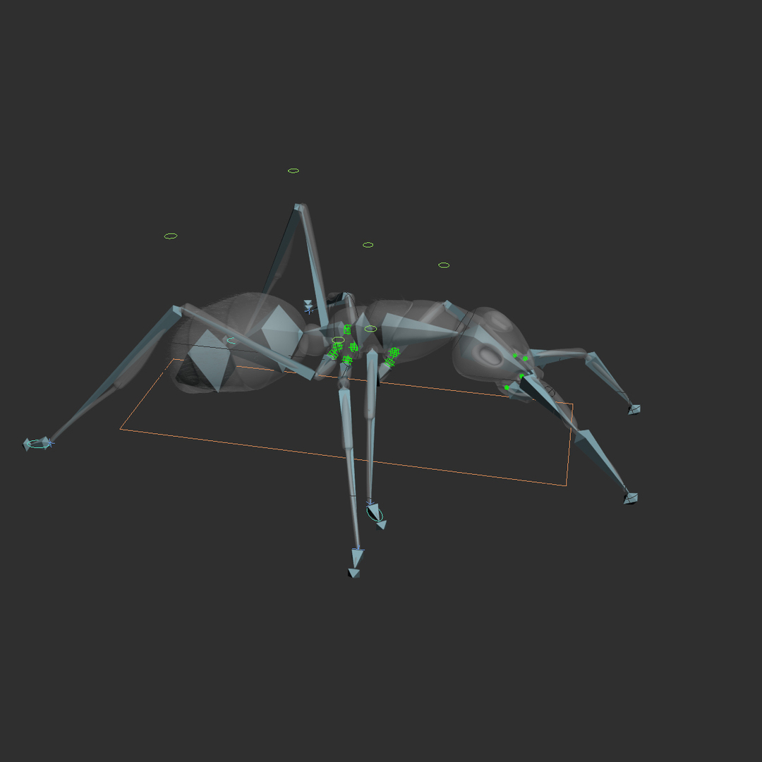 Ant Rig Animation 3D - TurboSquid 1311970