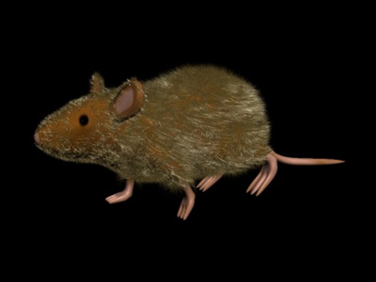 Rat Mouse Bones 3ds