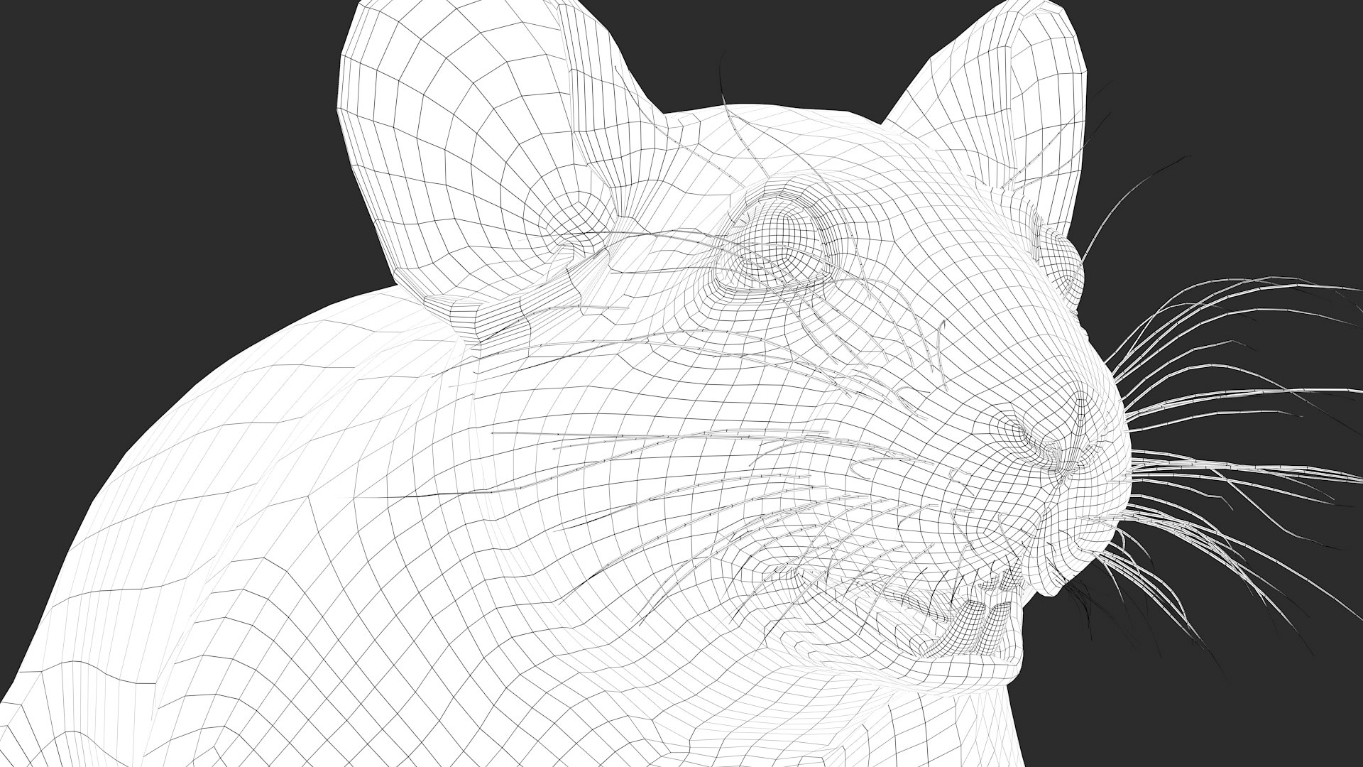 3D house mouse fur hair model - TurboSquid 1671870