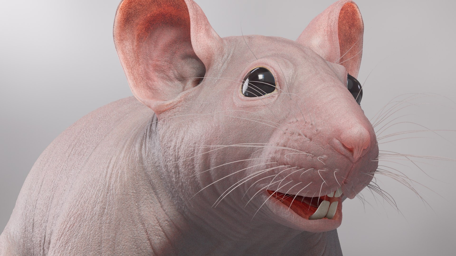 3D house mouse fur hair model - TurboSquid 1671870