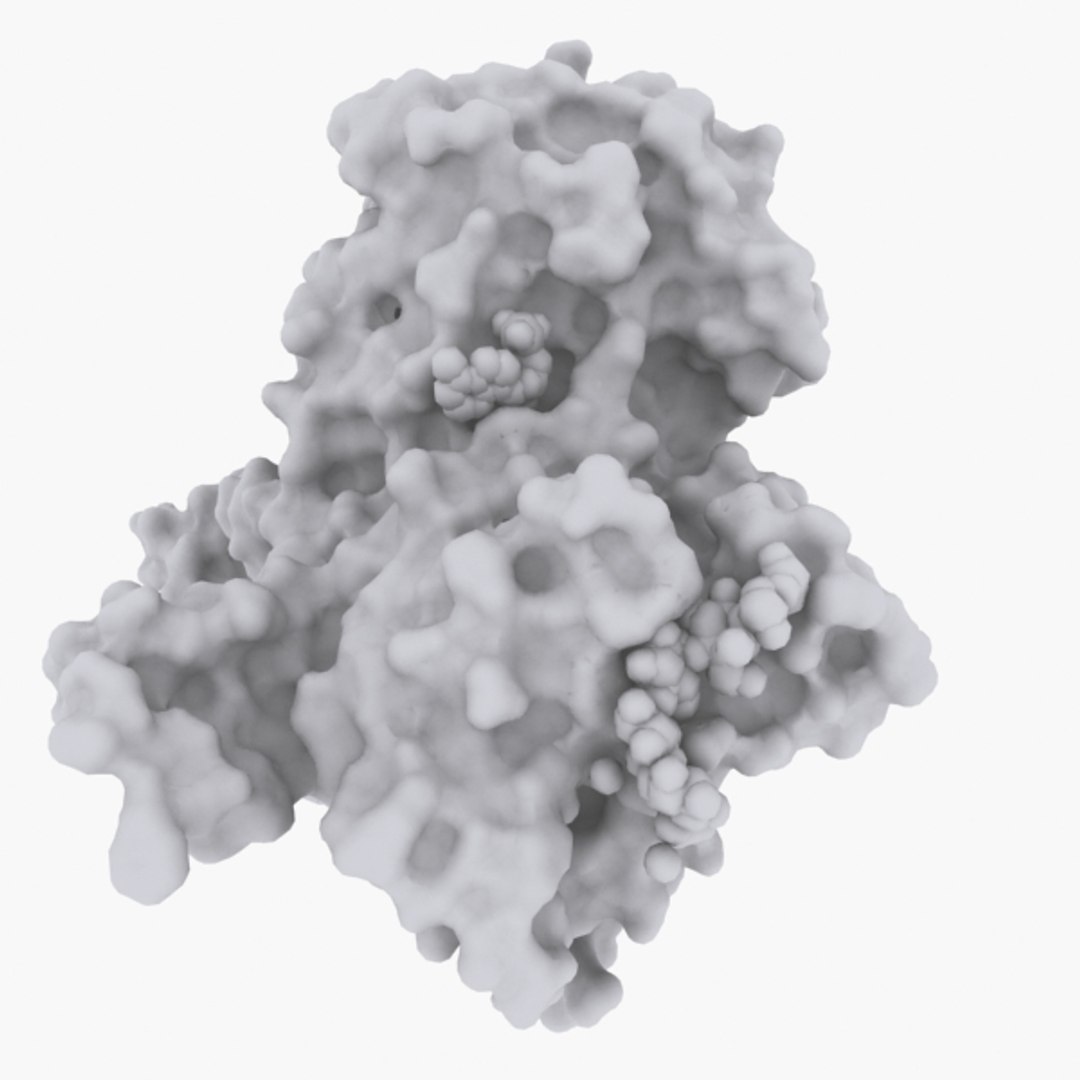 3d glycogen phosphorylase model